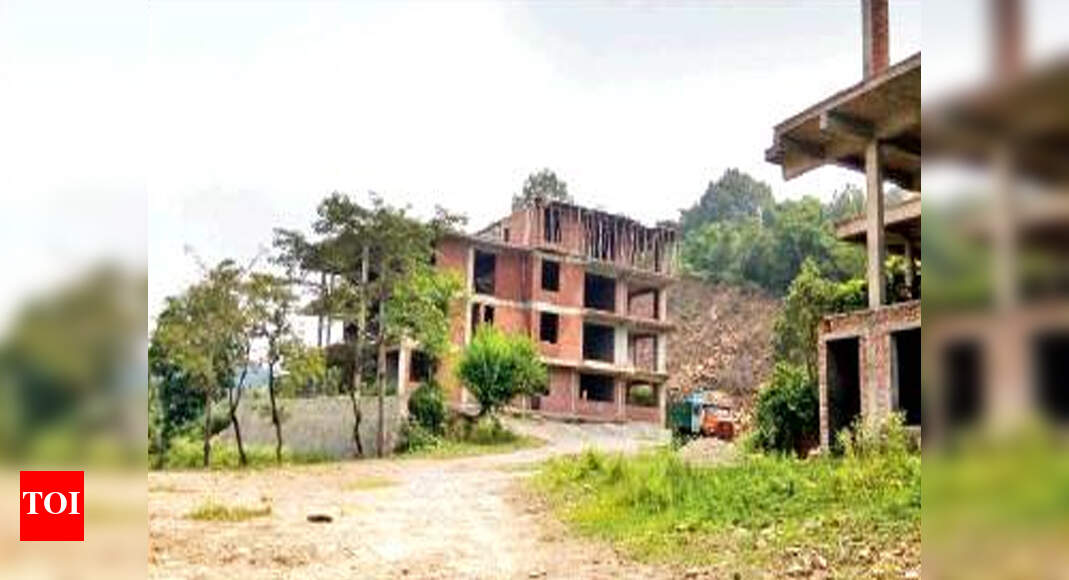 Pathankot: Forest department to reclaim its land in Dhar block of Pathankot | Chandigarh News ...