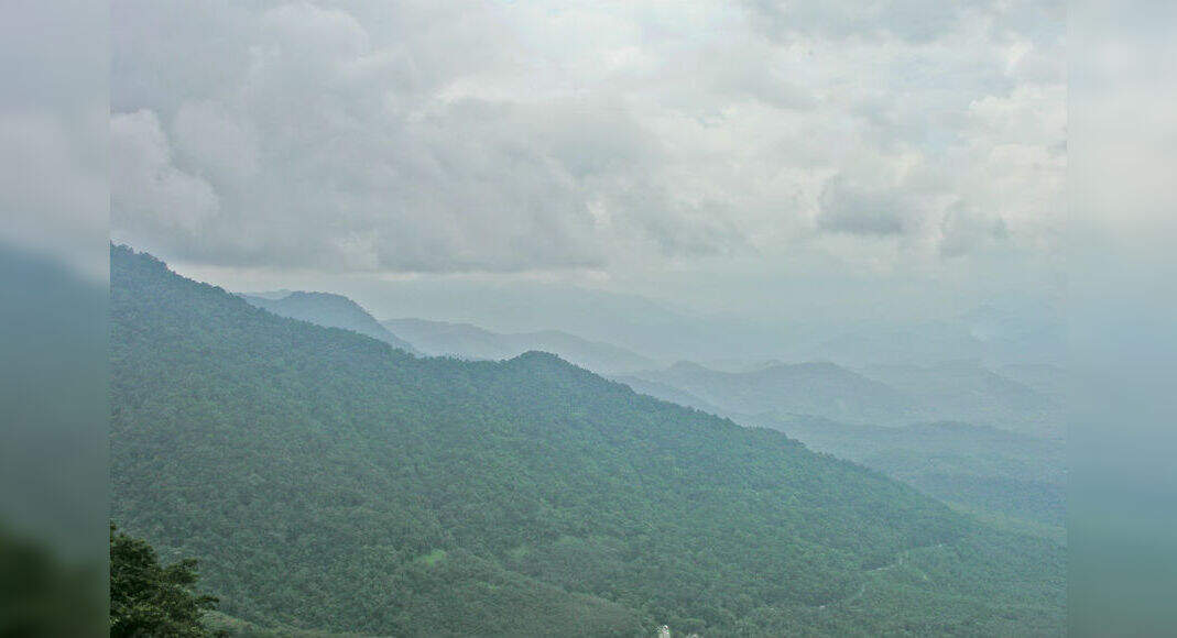 Chembra Peak in Wayanad open for Tourists | TimesTravel