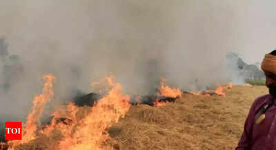 crop burning - Times of India