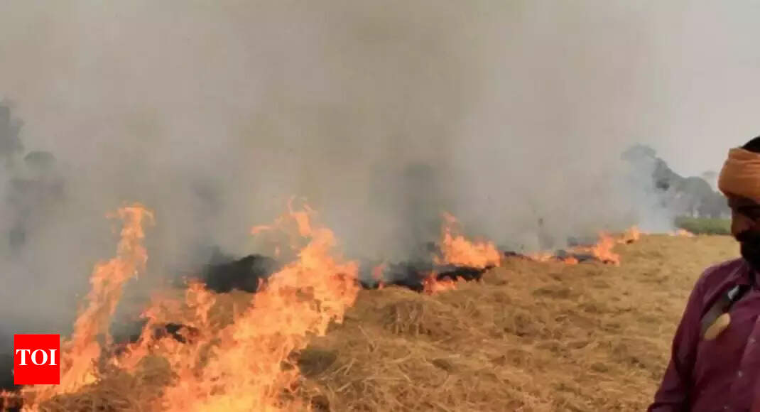 crop burning - Times of India