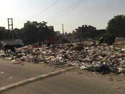 Trash piles up in Sector 5, residents say waste pick-up has stopped ...
