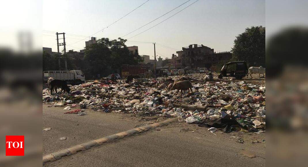 Trash piles up in Sector 5, residents say waste pick-up has stopped ...