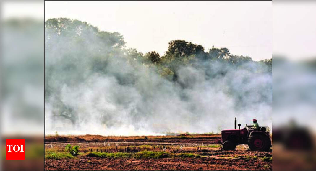 Paddy burning in Punjab, Haryana behind rise in west Uttar Pradesh ...