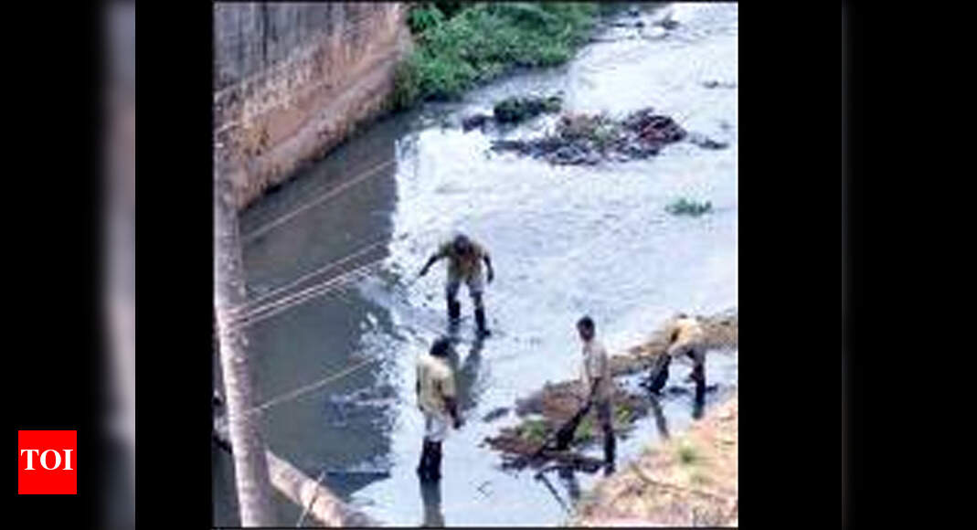 BBMP: One-time cleaning of SWDs will be taken up soon | Bengaluru News ...