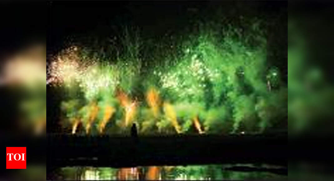 Goa government limits time for bursting Diwali crackers | Goa News ...