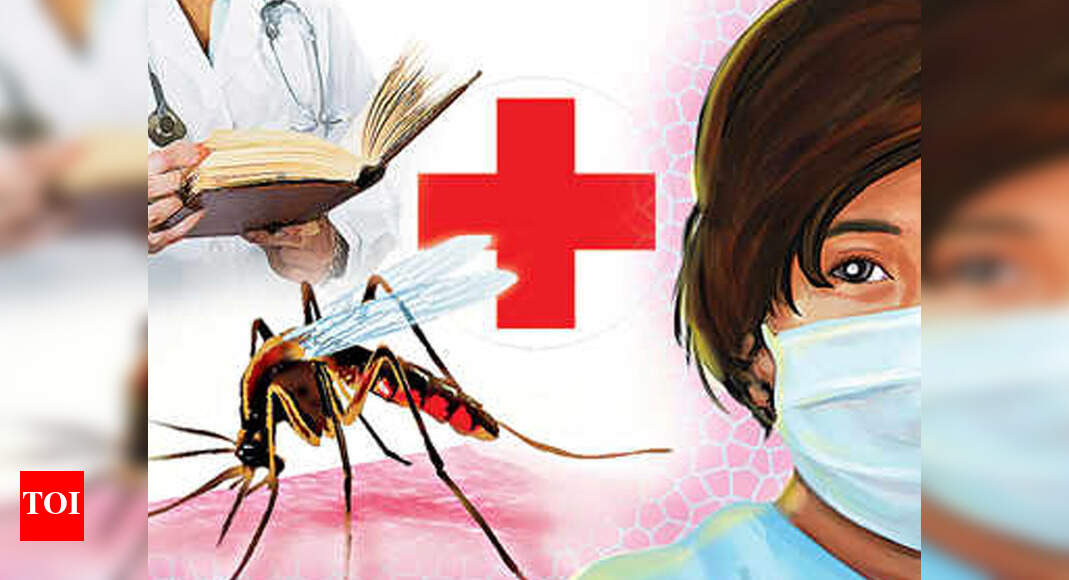 Tamil Nadu In The Grip Of Viruses Three Die Of H1n1 One Of Dengue