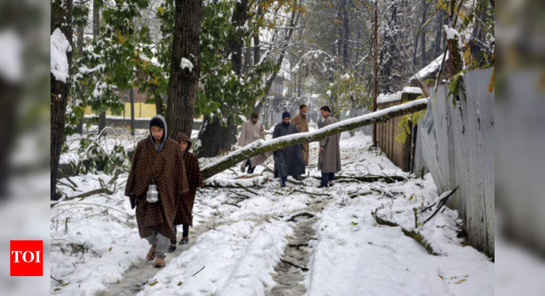 Cold wave grips Kashmir, temperature falls by more than 12 degrees ...
