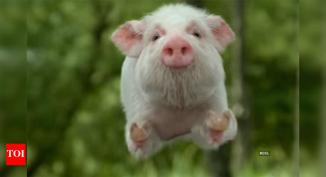 Adhugo Review: Five reasons to watch Ravi Babu directorial | Adhugo ...