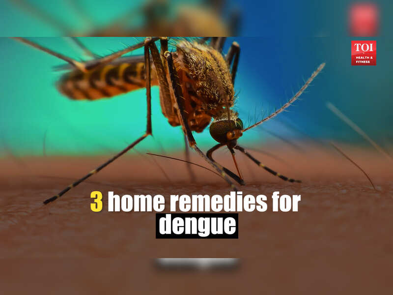 Follow these simple home remedies to fight dengue - Times of India