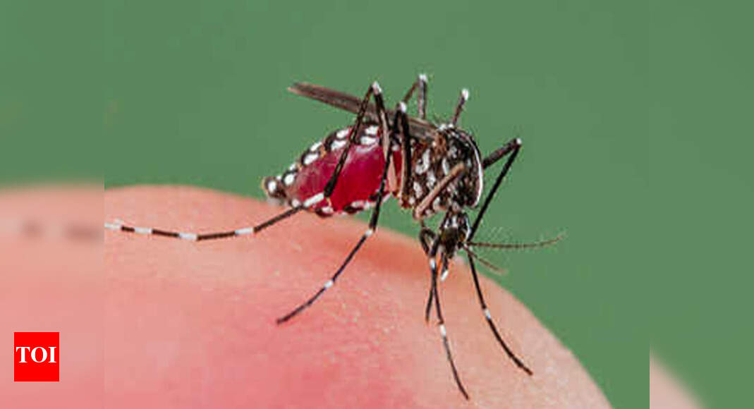 Innocuous symptoms in kids turning fatal in hours: Experts | Kolkata ...