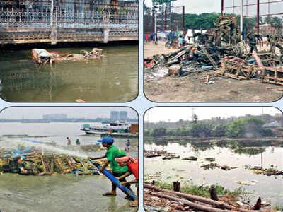 Ghats clean, but ponds bear immersion brunt | Kolkata News - Times of India