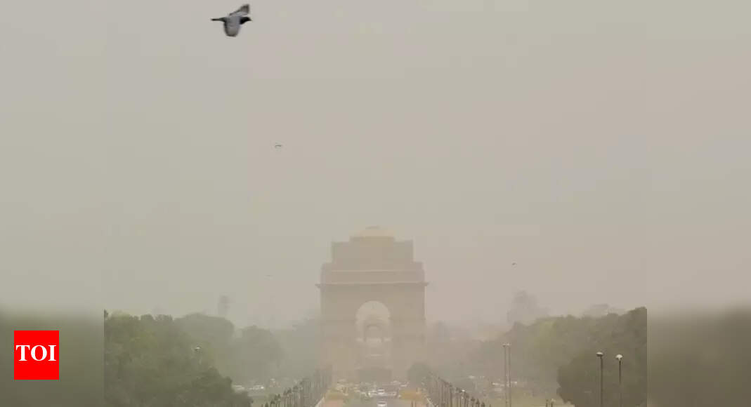 7-step guide to protect yourself from Delhi’s nasty pollution - Times ...