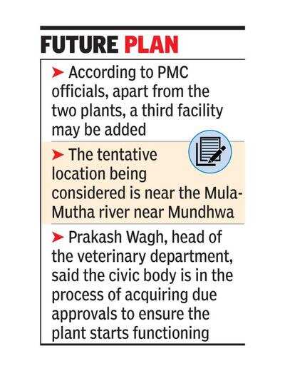 Better facility in sight to conduct animals’ last rites | Pune News ...