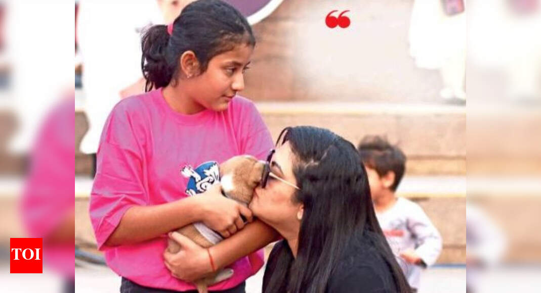Pawsitive effect: Canines find new homes, love | Delhi News - Times of ...