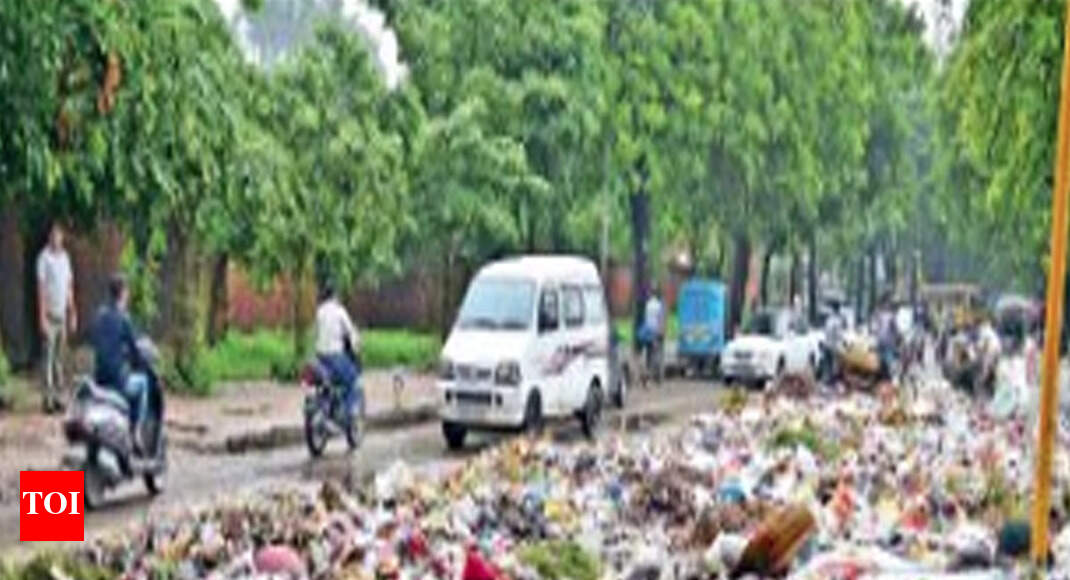 Garbage composting pits work starts | Chandigarh News - Times of India