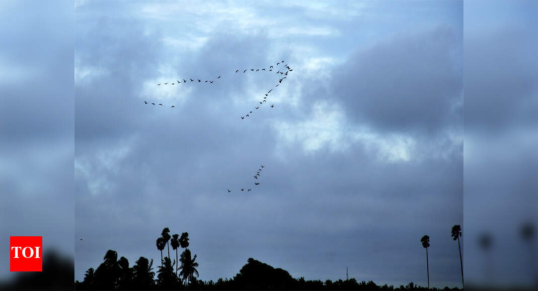 Cyclone Gaja: Bangalore expected to receive showers | Bengaluru News ...
