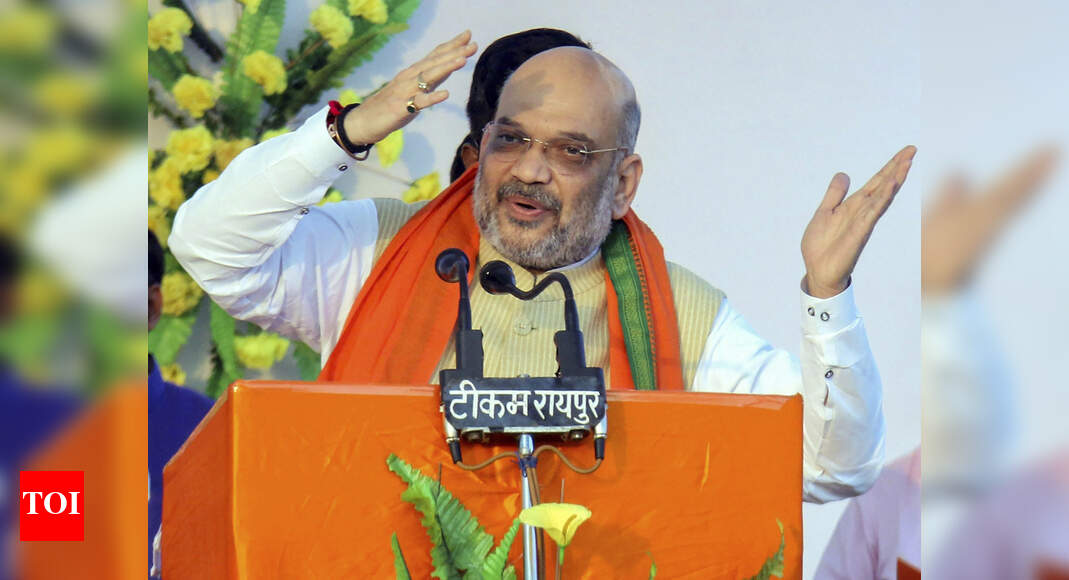 Target 2019, these are no ordinary polls: Amit Shah to BJP workers | India News - Times of India