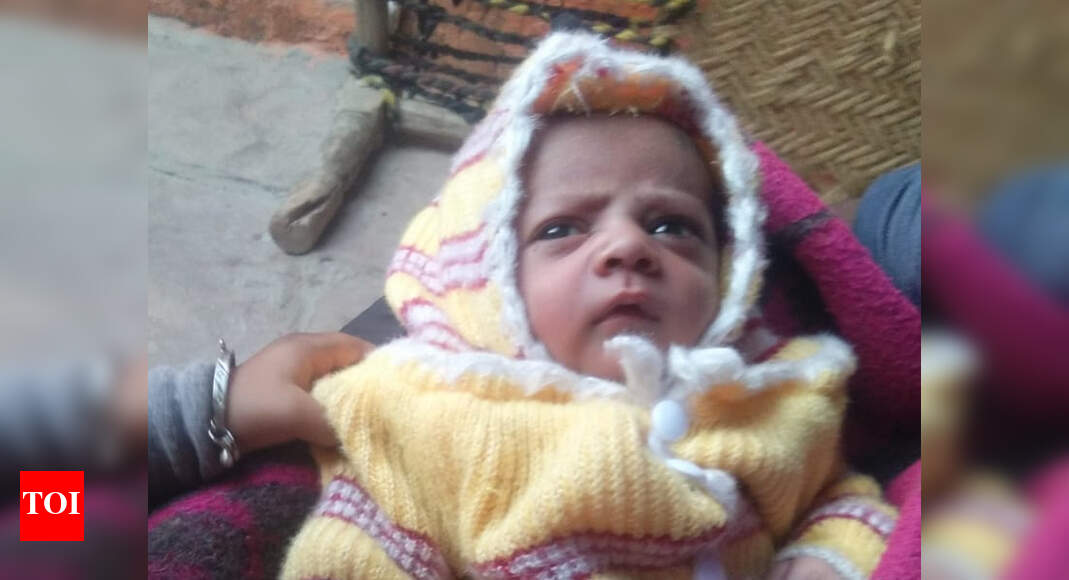 Agra: 12-day-old baby snatched and killed by monkey in Agra | Agra News ...