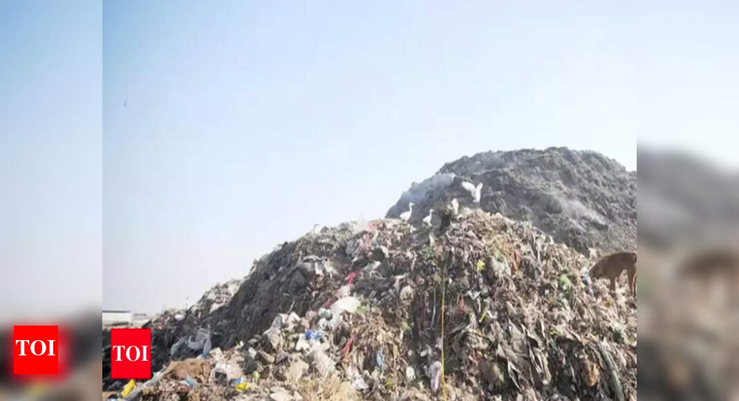 Waste Container: Drive to do away with garbage containers not smart ...