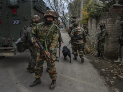 Search operation conducted in Rajouri over suspicious movement | India News - Times of India