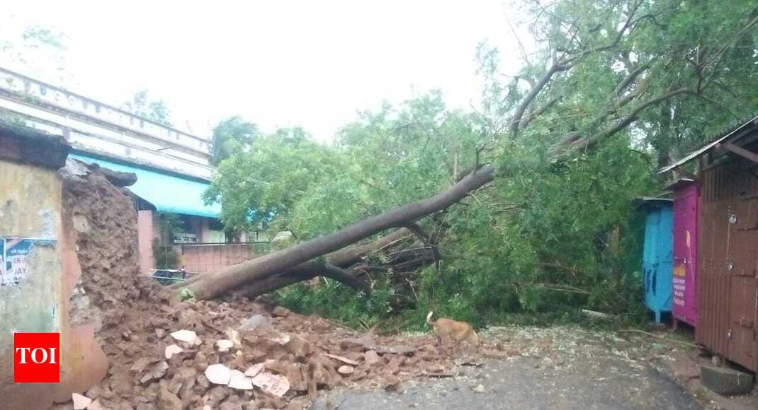 Cyclone Gaja Chennai: Gaja cyclone wreaks damage in Tamil Nadu ...
