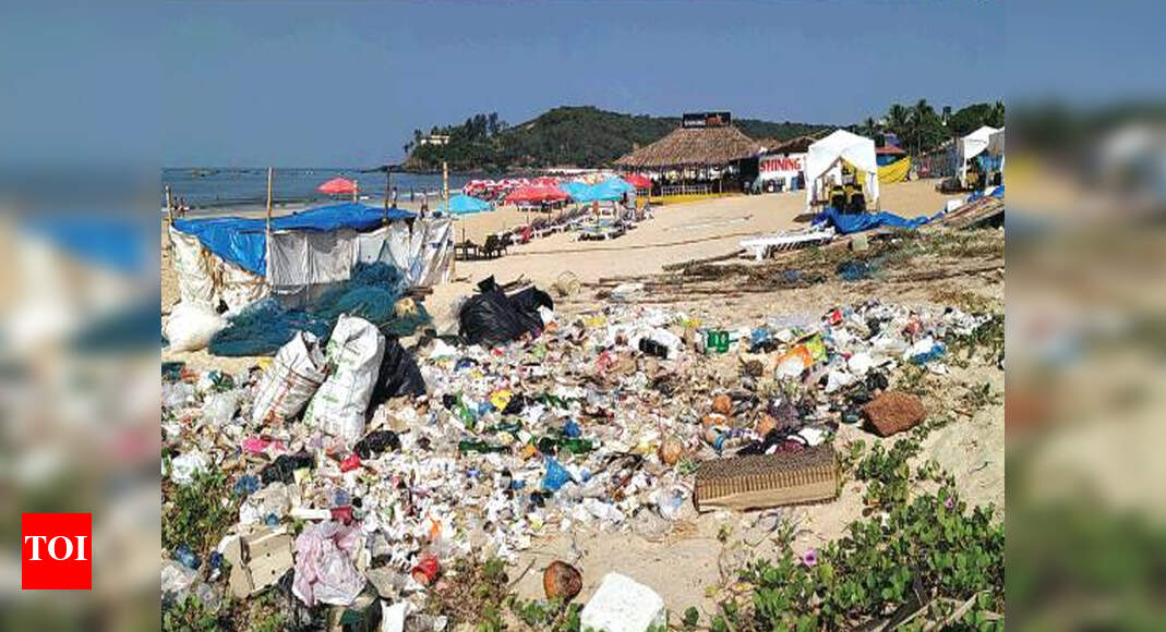 We are capable of keeping Goa’s beaches clean: Manohar Azgaonkar | Goa ...