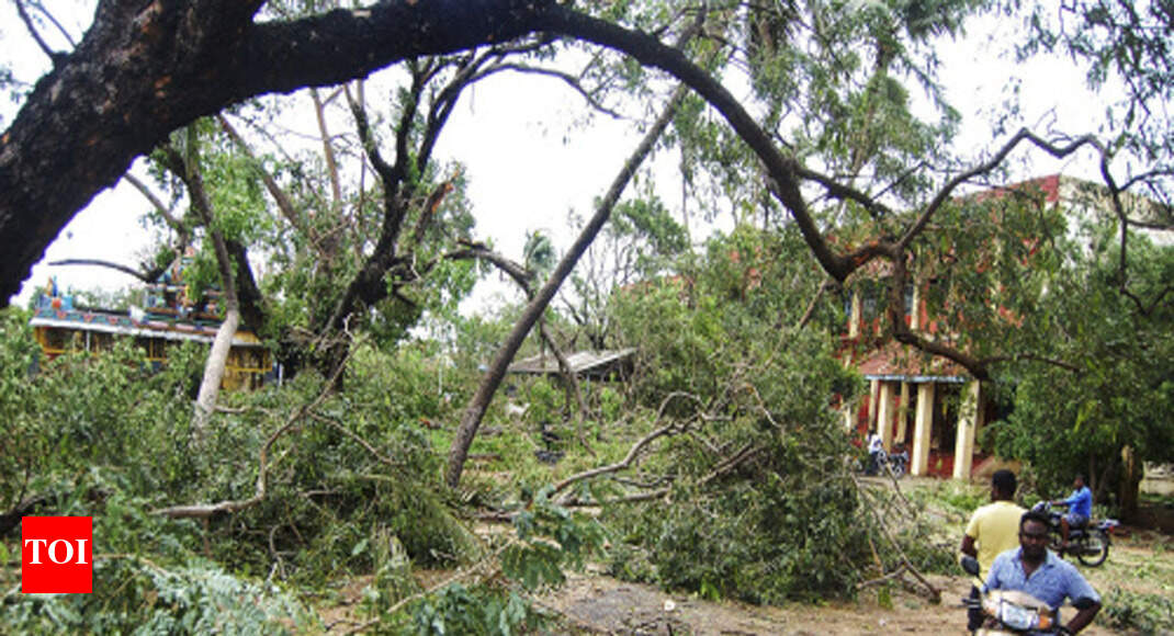 Cyclone Gaja effect: Wind speed increases fourfold in Bengaluru ...