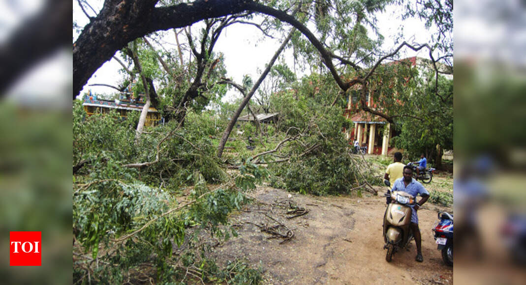 Cyclone Gaja effect: Wind speed increases fourfold in Bengaluru ...