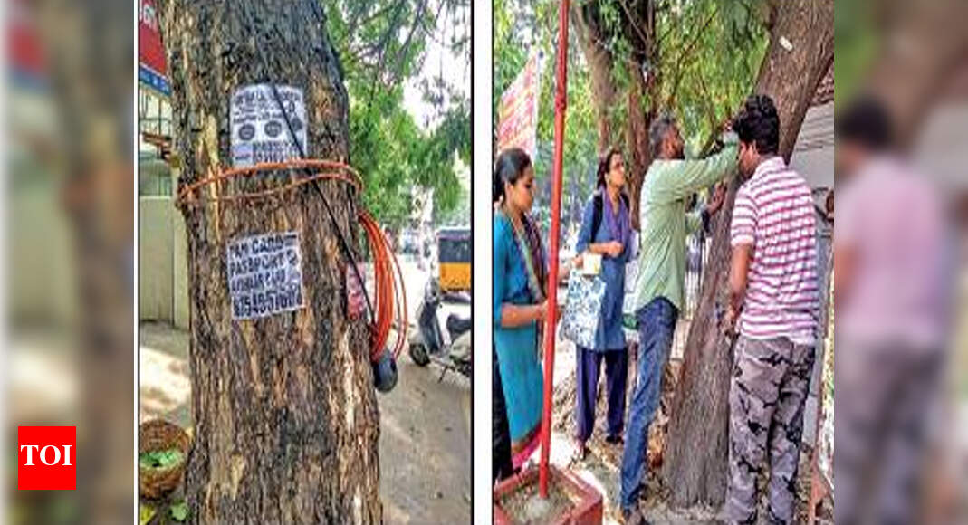 A campaign to free trees across Chennai from abuse | Chennai News ...
