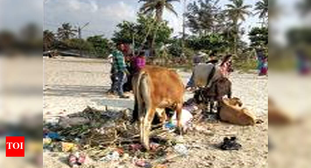 North to South, all beaches drown in piling garbage | Goa News - Times ...