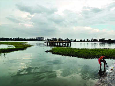 KMC may allow fishing at Rankala to curb pollution | Kolhapur News ...