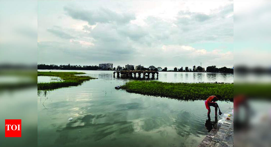 KMC may allow fishing at Rankala to curb pollution | Kolhapur News ...