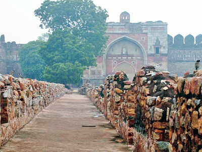 Delhi: Monuments' authority to put pending bylaws on fast-track | Delhi ...