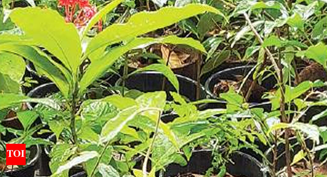 biodiversity: Thiruvananthapuram to have state’s first Miyawaki model ...