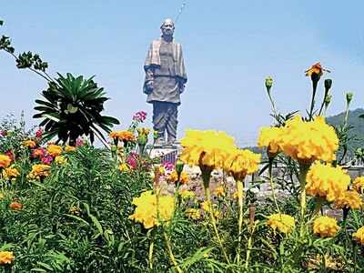 Statue of Unity passes to have time slots to cut waiting period | Surat ...