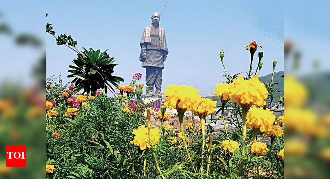 Statue Of Unity: Statue of Unity passes to have time slots to cut ...