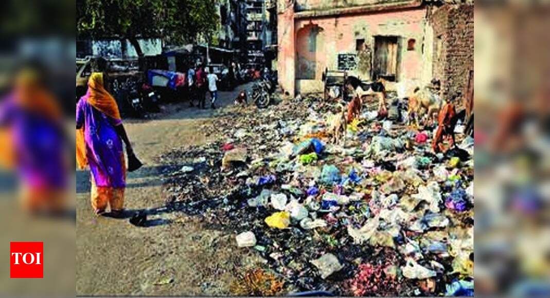 Garbage Issue: Nuisance squads set up to deal with garbage issue in ...