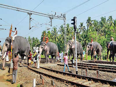 Temple town set for Guruvayur Ekadasi | Kochi News - Times of India
