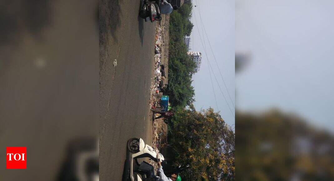 Mecosabagh Road towards CMPDI. - Times of India