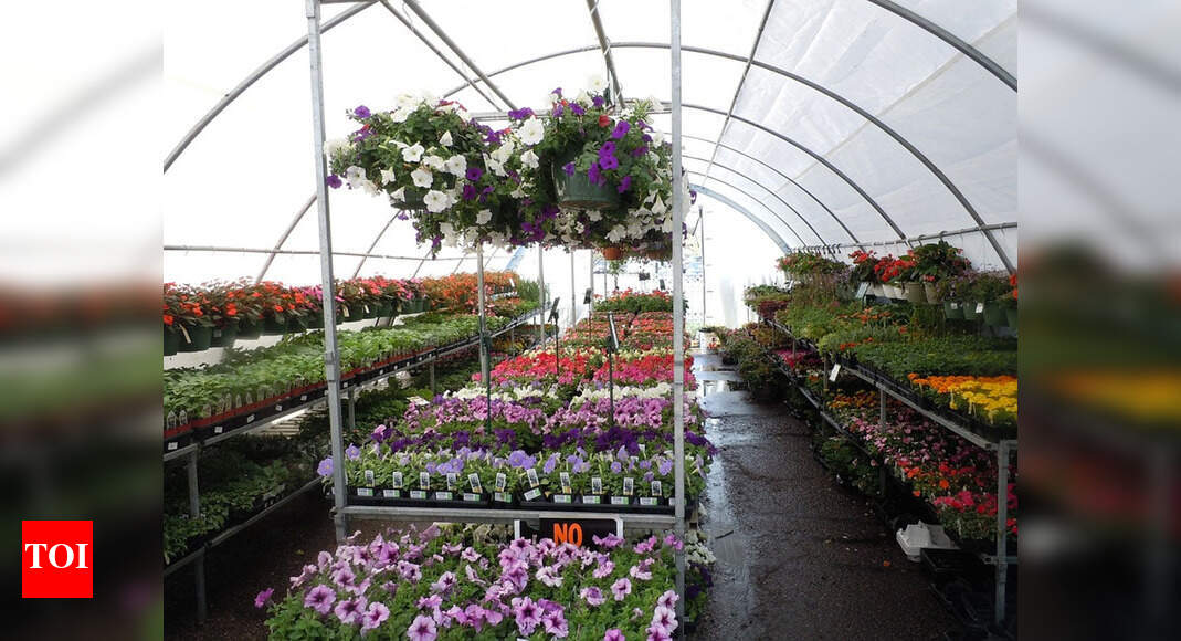 Nurseries set to go plastic-free from next year’s planting season ...
