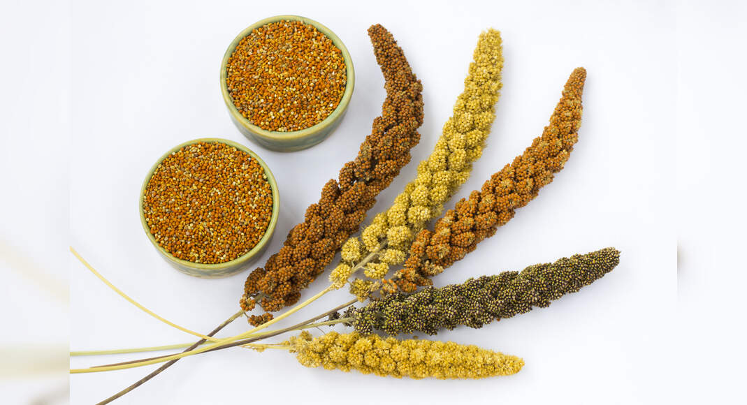 Now an exclusive International Trade Fair for Organics and Millets ...