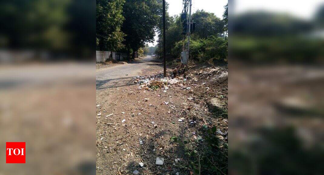 Garbage dumping on roads. - Times of India