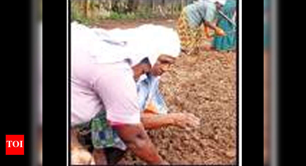 Kudumbasree To Launch Campaign: Kudumbasree to launch campaign to ...