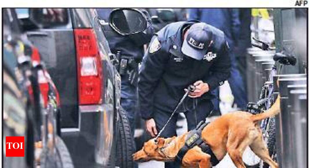 A ‘robot nose’ that can replace sniffer dogs - Times of India