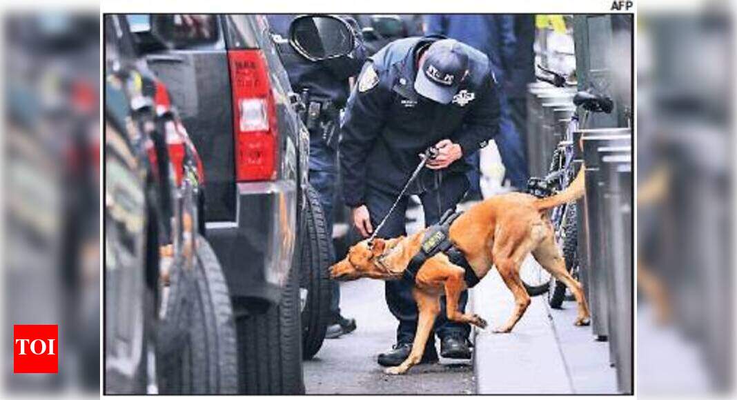 A ‘robot nose’ that can replace sniffer dogs - Times of India
