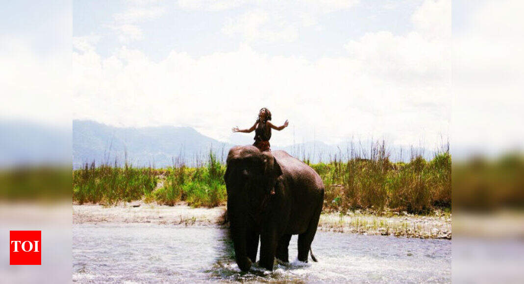 Child actor Samiul Alam shares a new poster of ‘Adventures Of Jojo ...