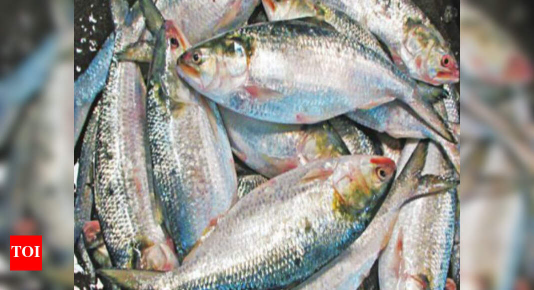 Goan fishermen want govt to ensure transportation of fish to ...