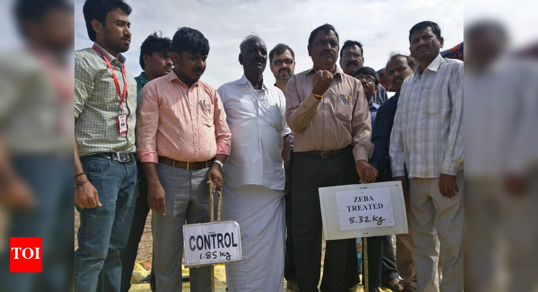 Andhra farmers to get additional yields with Zeba technology ...