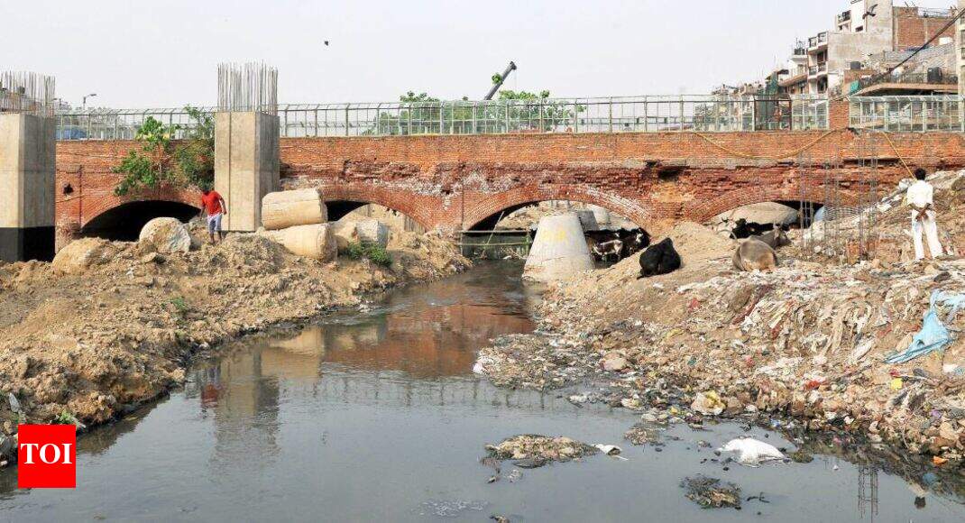 Kushak drain cleanup: Delhi HC slams inaction | Delhi News - Times of India