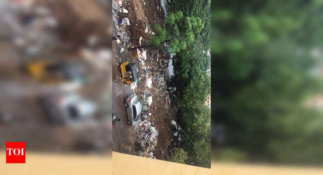Pile of Garbage causing rampant mosquito breeding - Times of India
